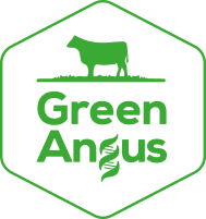 Green Angus